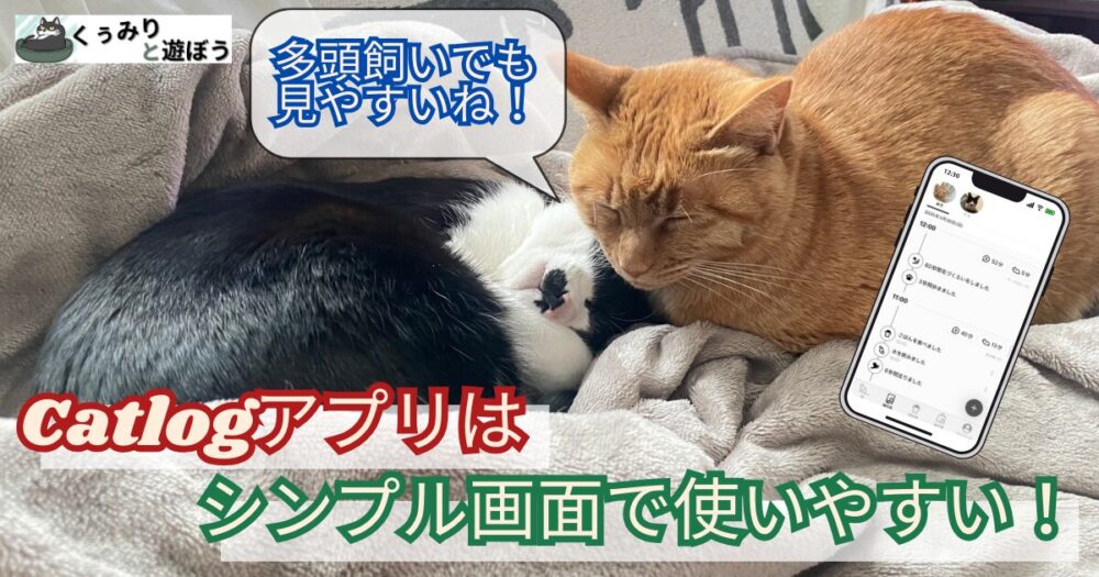【Catlog（キャトログ）】アプリの使い方｜実際の画面を使ってわかりやすく解説！